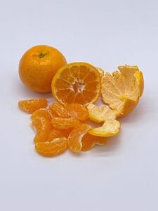 UF Mandarin 18A-9-39 ‘Gator Bites’ - Brite Leaf Citrus Nursery